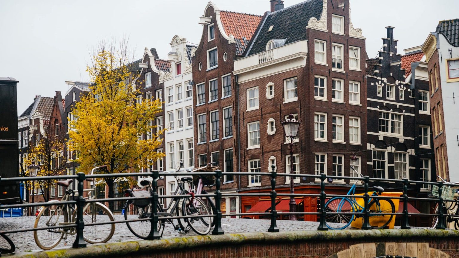 Lockdown in the Netherlands: the impact of COVID-19 restrictions on the ...