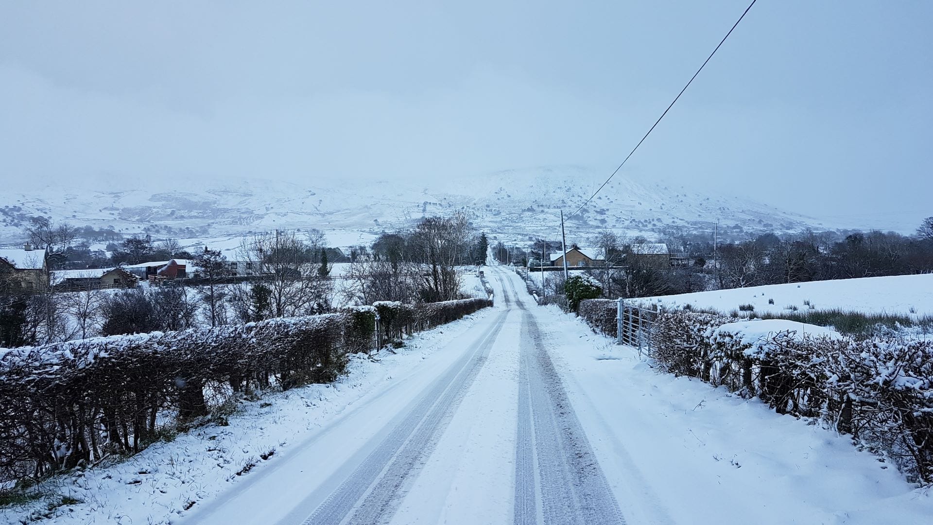 From a Facebook ad to working in the liberty movement: my journey with ...