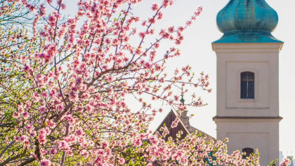 The Prague Spring: planting the seeds of freedom - Students For Liberty