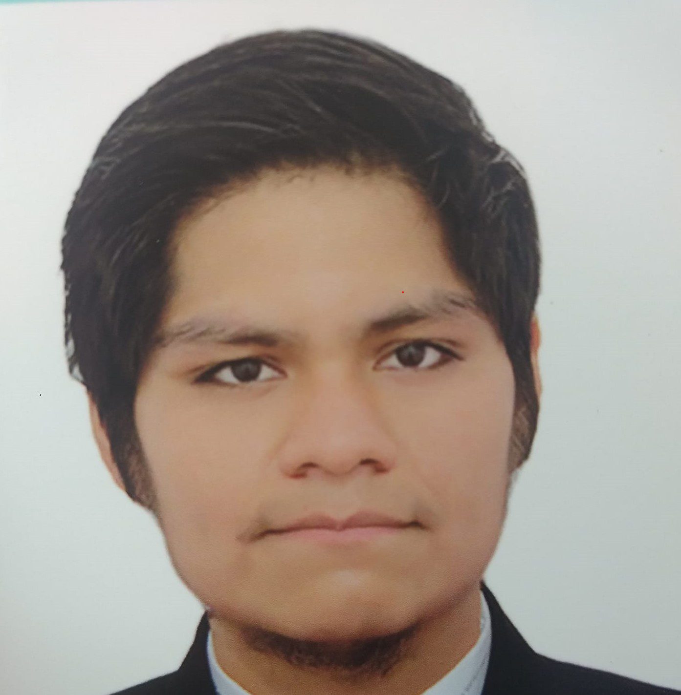 ¿Acciones positivas dentro de una constitución? La desnaturalización de una política pública ...