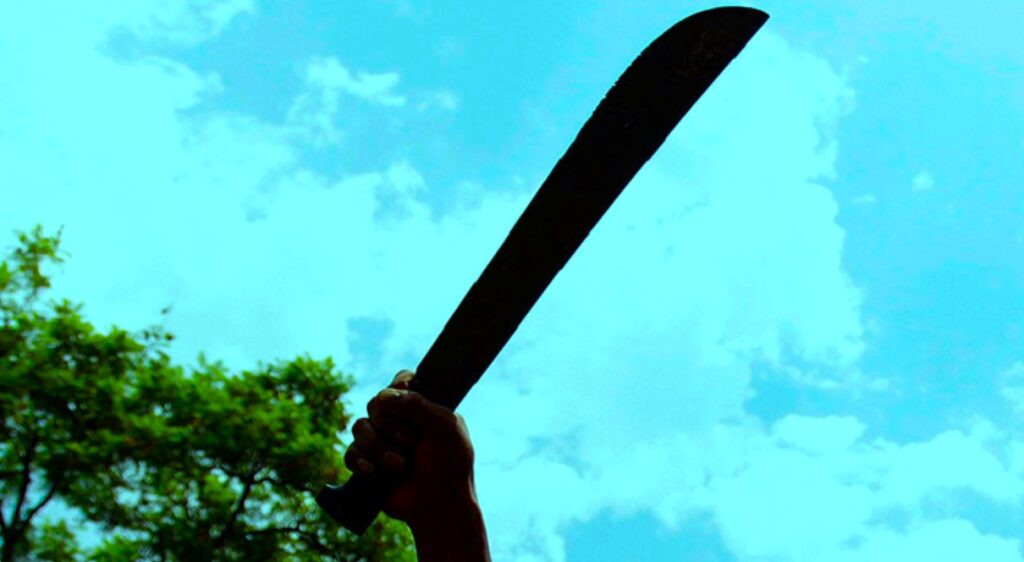 El Machete: Símbolo de la lucha por la libertad en Colombia - Students ...